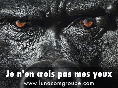 Je Nen Crois Pas Mes Yeux