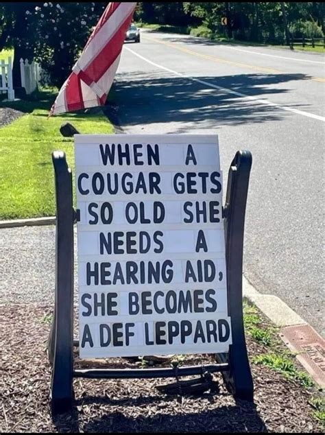 Cougar Hunting Memes