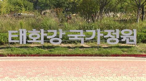 [전국][울산] 태화강국가정원에서 21일부터 가을 축제 열린다 Ytn