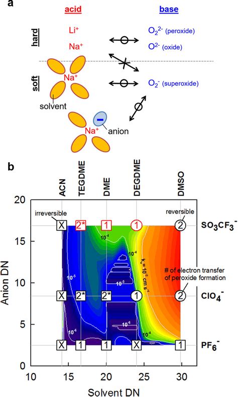Superoxide Stability A Interaction Between Oxygen Species Oxide