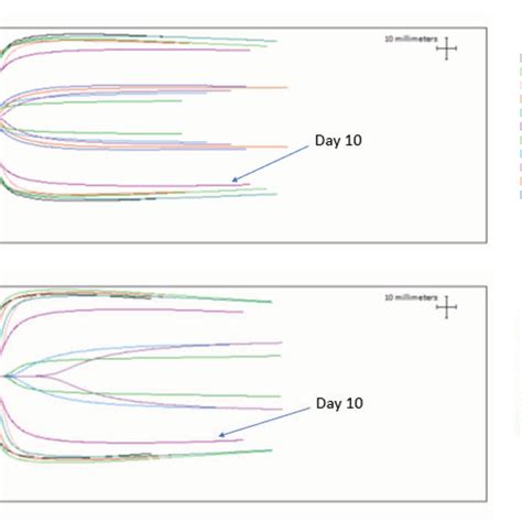 A Teg Analysis Results For An Animal That Survived To Post