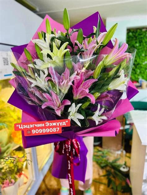 Цэцэгчин Ээжүүд таримал цэцгийн дэлгүүр Цэцэгт мэндчилгээ Цэцэг хүргэлт Цэцэгчин Ээжүүд