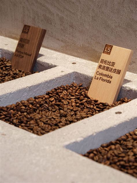 Tiny Café By Blue Architecture Studio Pops Out Amidst Traditional