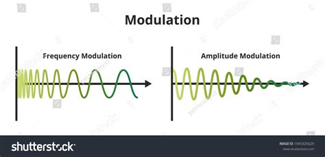 Vector Scheme Frequency Modulation Fm Amplitude Stock Vector Royalty