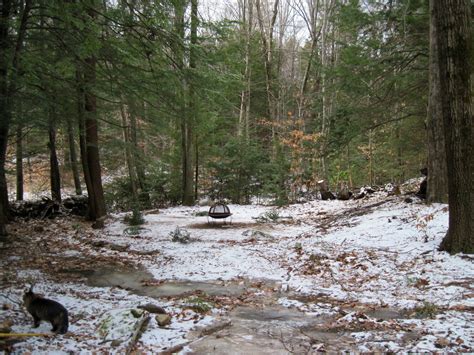 Ravenwood Forest Santa Shamans And Solstice Circle