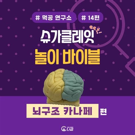 [먹공 연구소] 10월 뇌구조 카나페 편 놀이바이블 크리에이터스랩 육아의정석