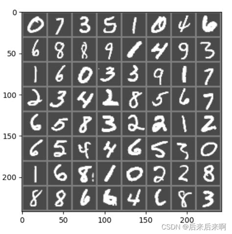 Pytorch学习笔记之二十一个项目玩转pytorch一数字识别21个项目玩转pytorch Csdn博客