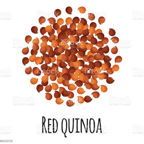 템플릿 농부 시장 디자인 라벨 및 포장을위한 빨간색 퀴노아 천연 에너지 단백질 유기농 슈퍼 푸드 퀴노아에 대한 스톡 벡터 아트 및 기타 이미지 Istock