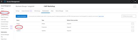 Module 3 Lab 2 Deploy The Account Process Api Sap Api Led Connectivity Workshop
