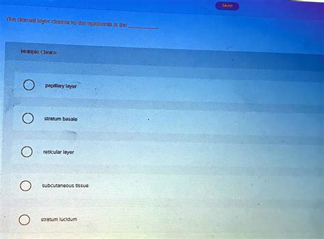 The Dermal Layer Closest To The Epidermis Is The Multiple Choice Papillary Layer Stratum Basale