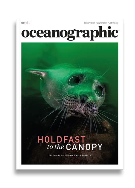 Shell Shock Sea Snail Defence Mode May Hinder Its Sex Life Oceanographic