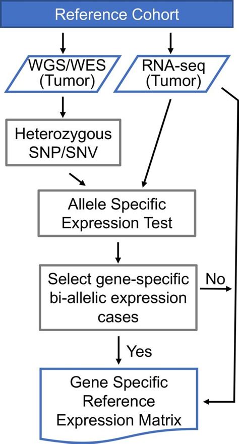 Workflow For Constructing The Gene Specific Reference Expression Matrix Download Scientific
