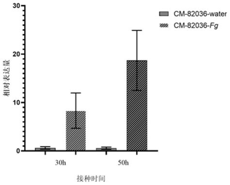 一种呕吐毒素脱毒酶及其编码基因和应用的制作方法