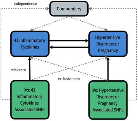 Circulating Inflammatory Cytokines And Hypertensive Disorders Of Pregnancy A Two Sample