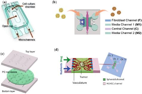 Figure 1 From Organ On A Chip Platforms For Drug Screening And Delivery In Tumor Cells A