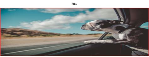 How To Change Position Of Image In HTML BrowserStack