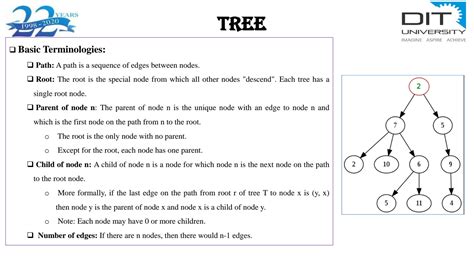 SOLUTION Unit 3b Tree Studypool
