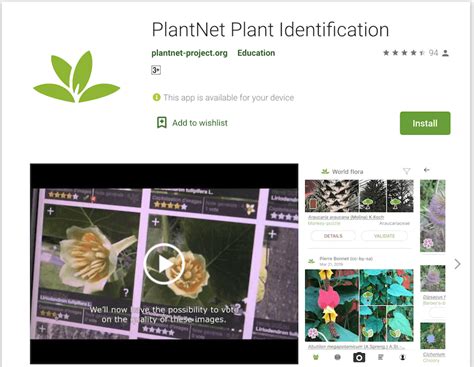 Best Tree Identification Apps For Android IOS