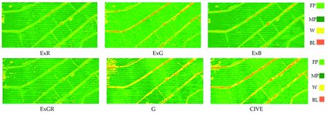 Object Oriented Classification Results For The Visible Light Vegetation Download Scientific