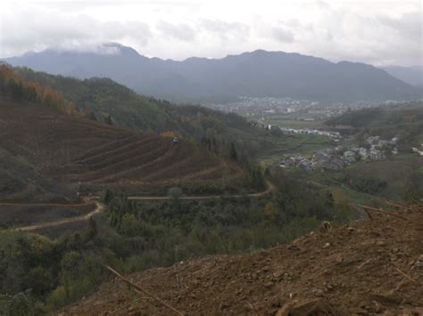 竹山研究
