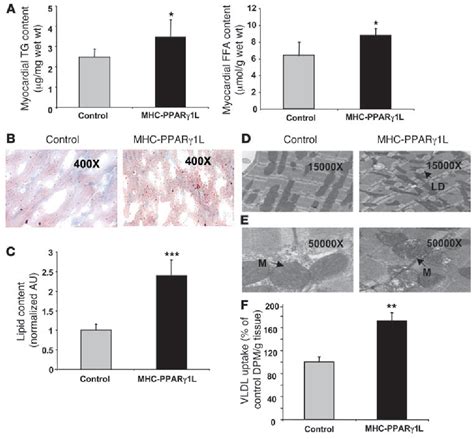 Transporter Classification Database Semantic Scholar