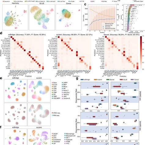 Overview Of Scbridge A The Input Of Scbridge Is Composed Of The Download Scientific Diagram