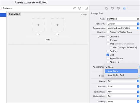 futurebasic asset catalog image