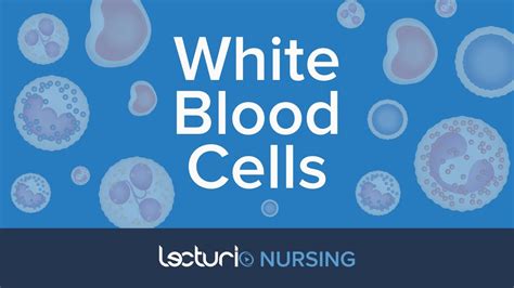 5 Different Types Of White Blood Cells