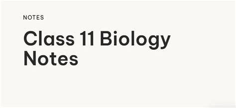 Class 11 Computer Science Notes