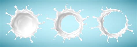 우유 스플래쉬 세트는 파란색 배경에 고립되어 있습니다 천연 유제품 요구르트 또는 크림이 물방울을 뿌립니다 사실적인 벡터