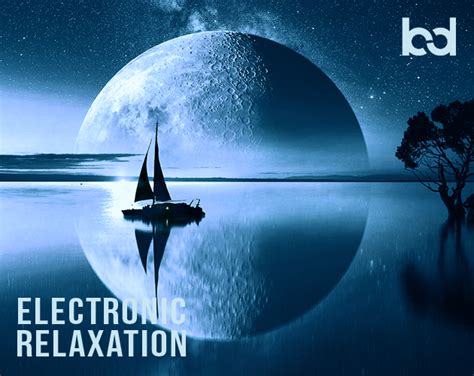 Electronic Relaxation By Donat Baracsi