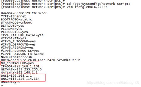 centos7虚拟机网络与dns上网配置 networkmanager 域名 csdn博客