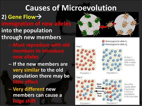 Ppt Microevolution Ch 20 Powerpoint Presentation Free Download Id 2820558