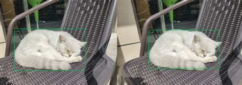 Mmyolo Docs Zh Cn Get Started 15 Minutes Object Detection Md At Main · Open Mmlab Mmyolo · Github