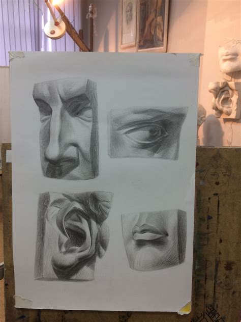 Академический рисунок Правила искусства Художники Рисунок