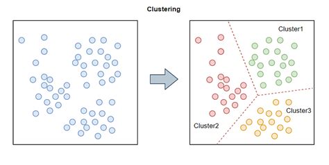 Clustering — Concetti Di Base Principali Algoritmi E Applicazione