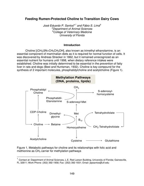Pdf Feeding Rumen Protected Choline To Transition Dairy Cows