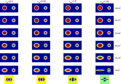 the two dimensional atom density profiles for each component as a