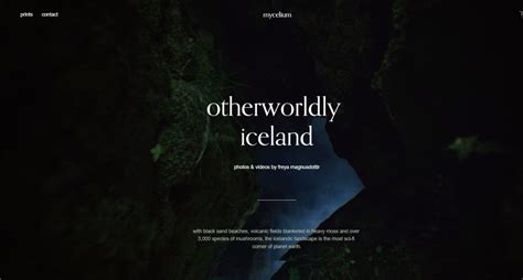 The 29 Best Free Squarespace Templates 2025