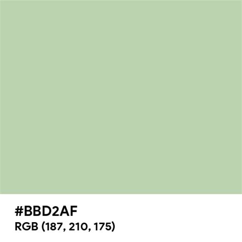 Bbd2af Color Name Is Light Moss Green