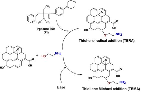 9 Scheme Of The Go Functionalization Using Alkene Groups By And Tema Download Scientific