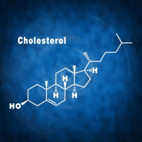 10 Cholesterol Lowering Drugs Stock Illustrations Royalty Free Vector