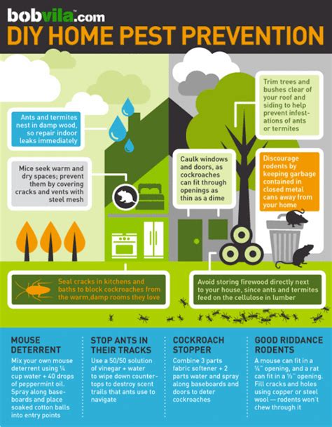 Rentokil Advises On How Prevention Is Better Than Cure When It Comes To Pests This Festive