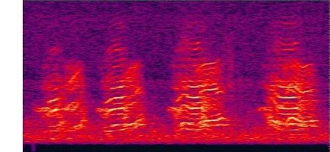 Spectrogram Of One Series Of Four Simultananeous Chirps Produced By Download Scientific