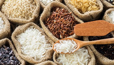 Riz quand commencer à en donner à votre bébé Bébés et Mamans