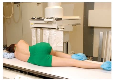 LAB EXAM Flashcards Quizlet