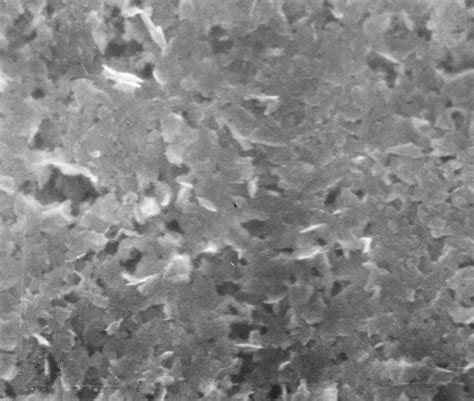 2 Sem Image Of Graphite Thin Films Deposited On Inner Cladding Surface Download Scientific Diagram