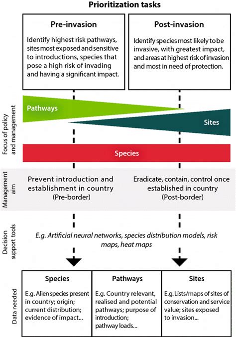 Prioritization Takes Place Within And Across Stages Of The Invasion Download Scientific Diagram