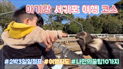 🍊제주도 아기 여행 서귀포 2박 3일 코스 지도 제주 여행 팁 10가지 공개 뽀로로앤타요테마파크 세계 자동차 피아노 박물관 Youtube