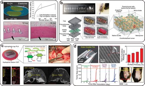 Biocompatible Scaffold And Drug Delivery System For Bioresorbable